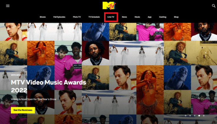 How to Watch MTV US in Ireland Without Cable [2026]