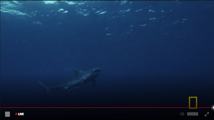 How to Watch National Geographic in Ireland [2025]