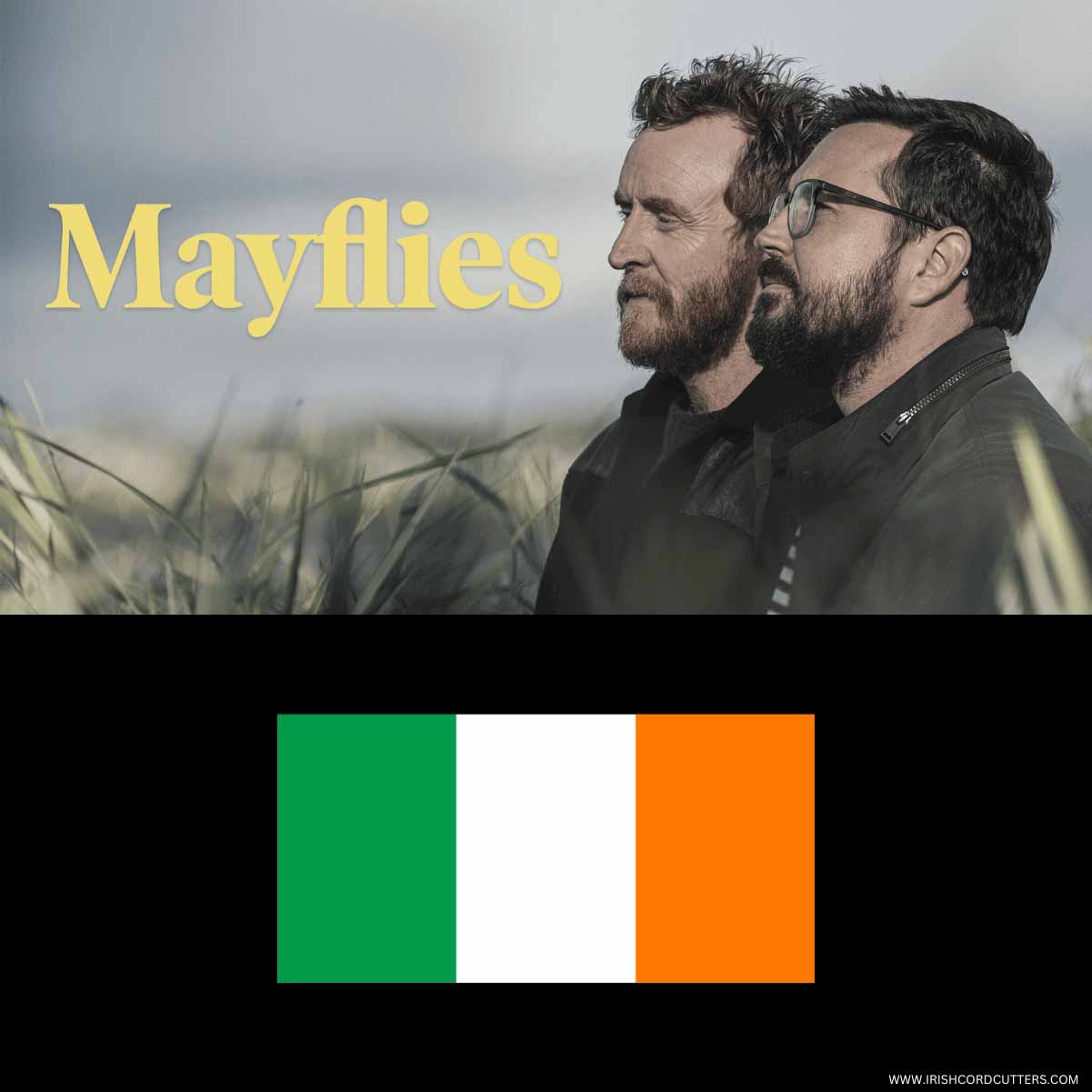 How to Watch Mayflies in Ireland for Free [2025]