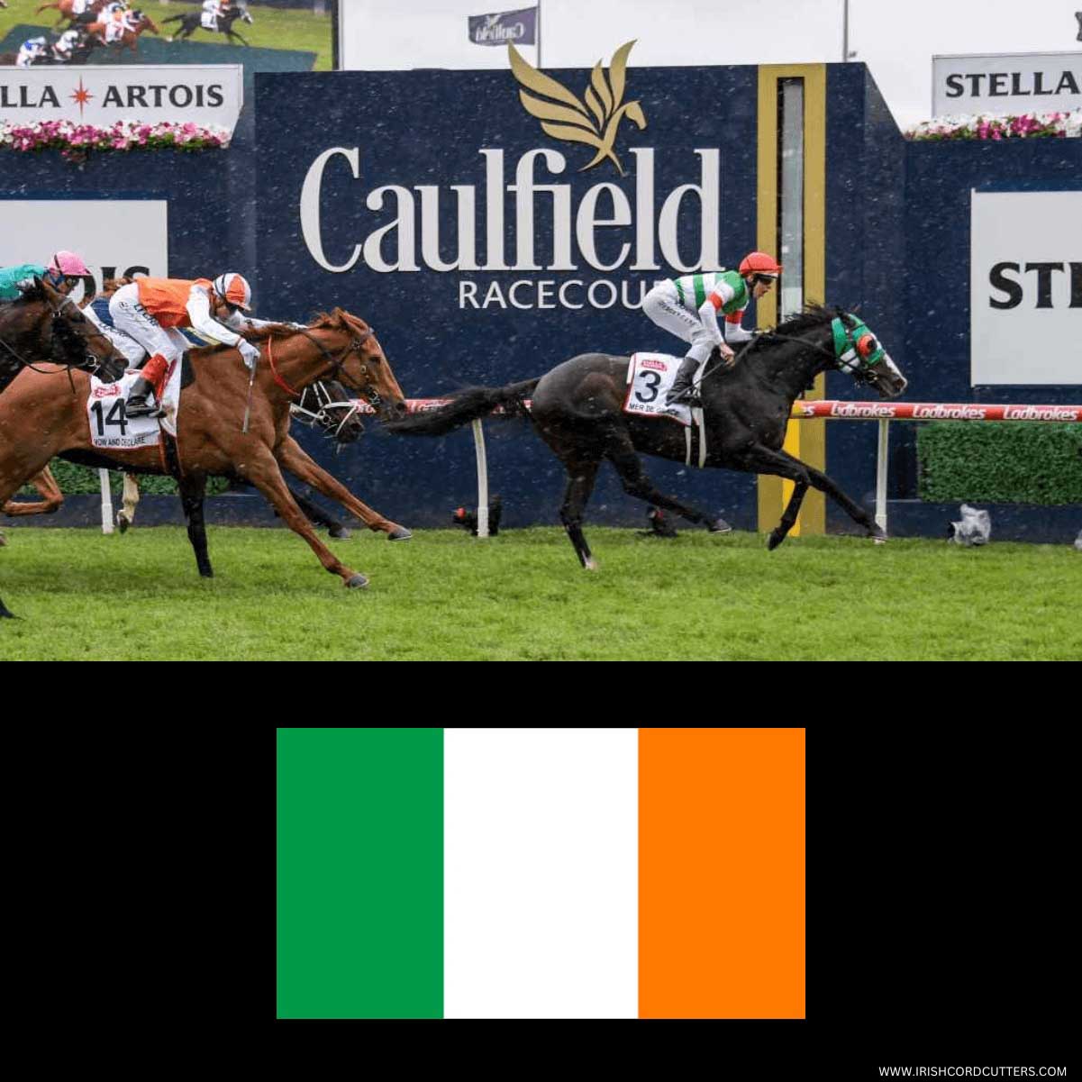 How to Watch Caulfield Cup in Ireland [Free Live Stream | 2024]