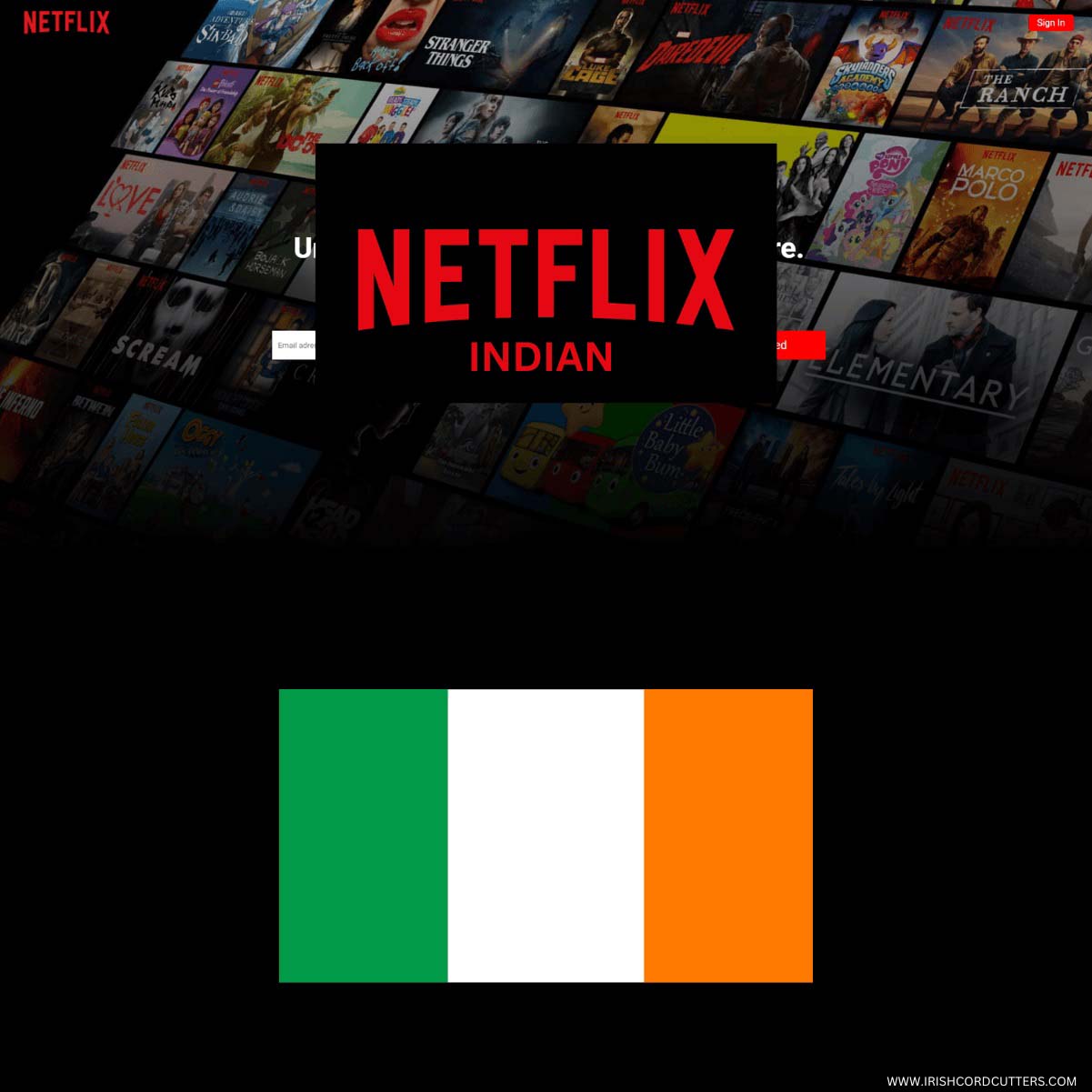 How to Watch Indian Netflix in Ireland