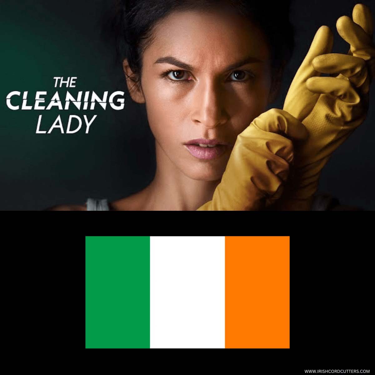 How to Watch The Cleaning Lady in Ireland [New Season | 2026]
