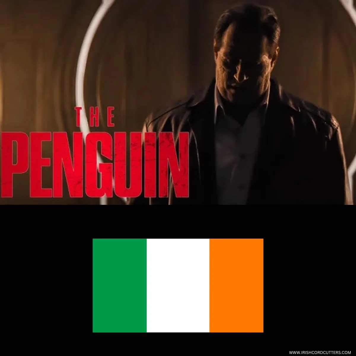 How to Watch The Penguin in Ireland [New Show | 2025]